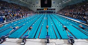 Squad Programs at Springfeild Waterworx Swimming Club